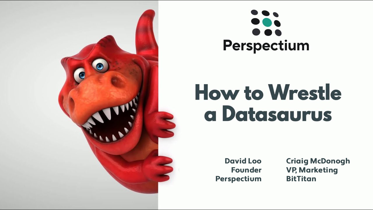Video: How to Wrestle a Datasaurus - Perspectium
