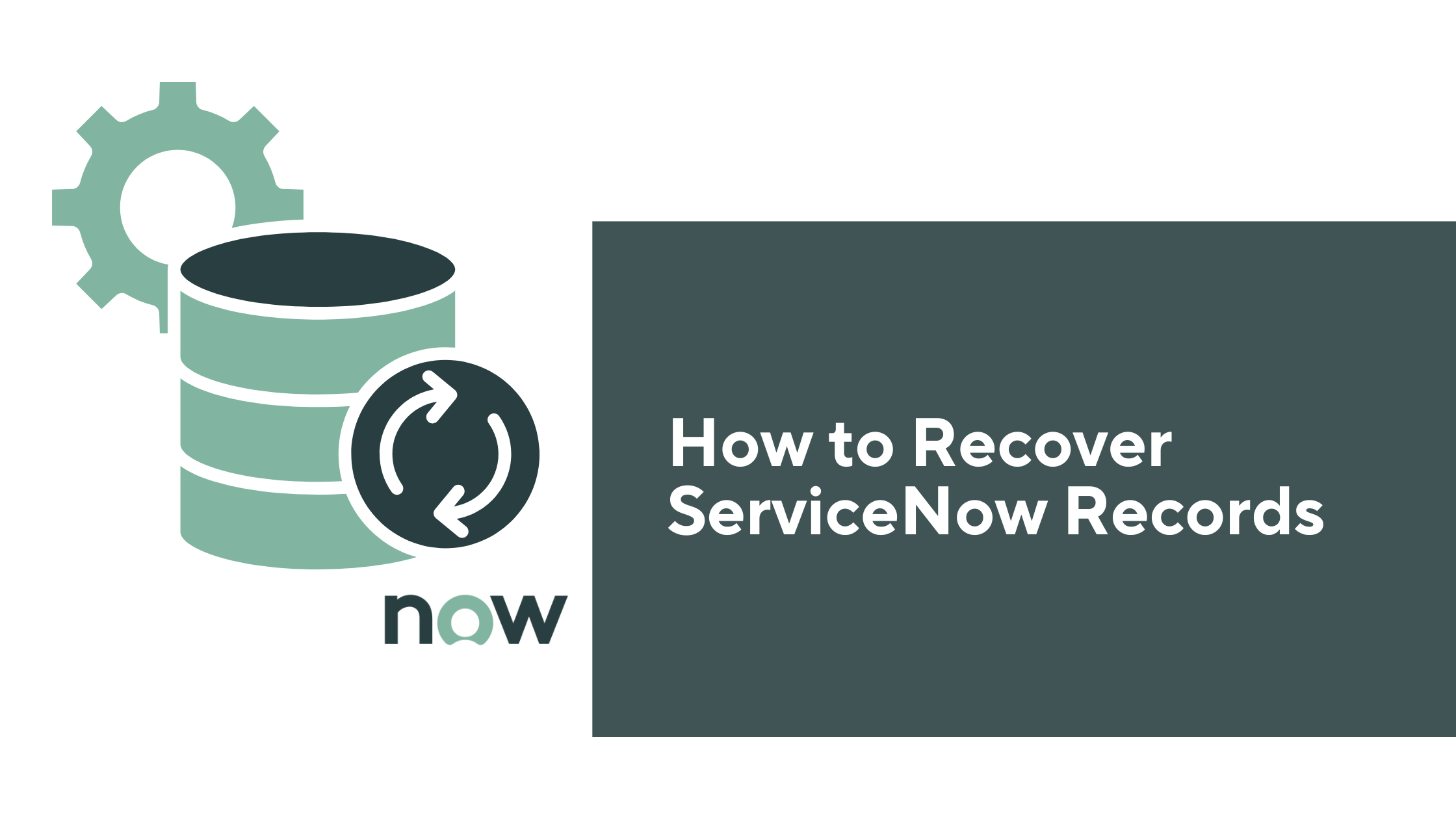 How to Recover ServiceNow Records | ServiceNow Data Recovery